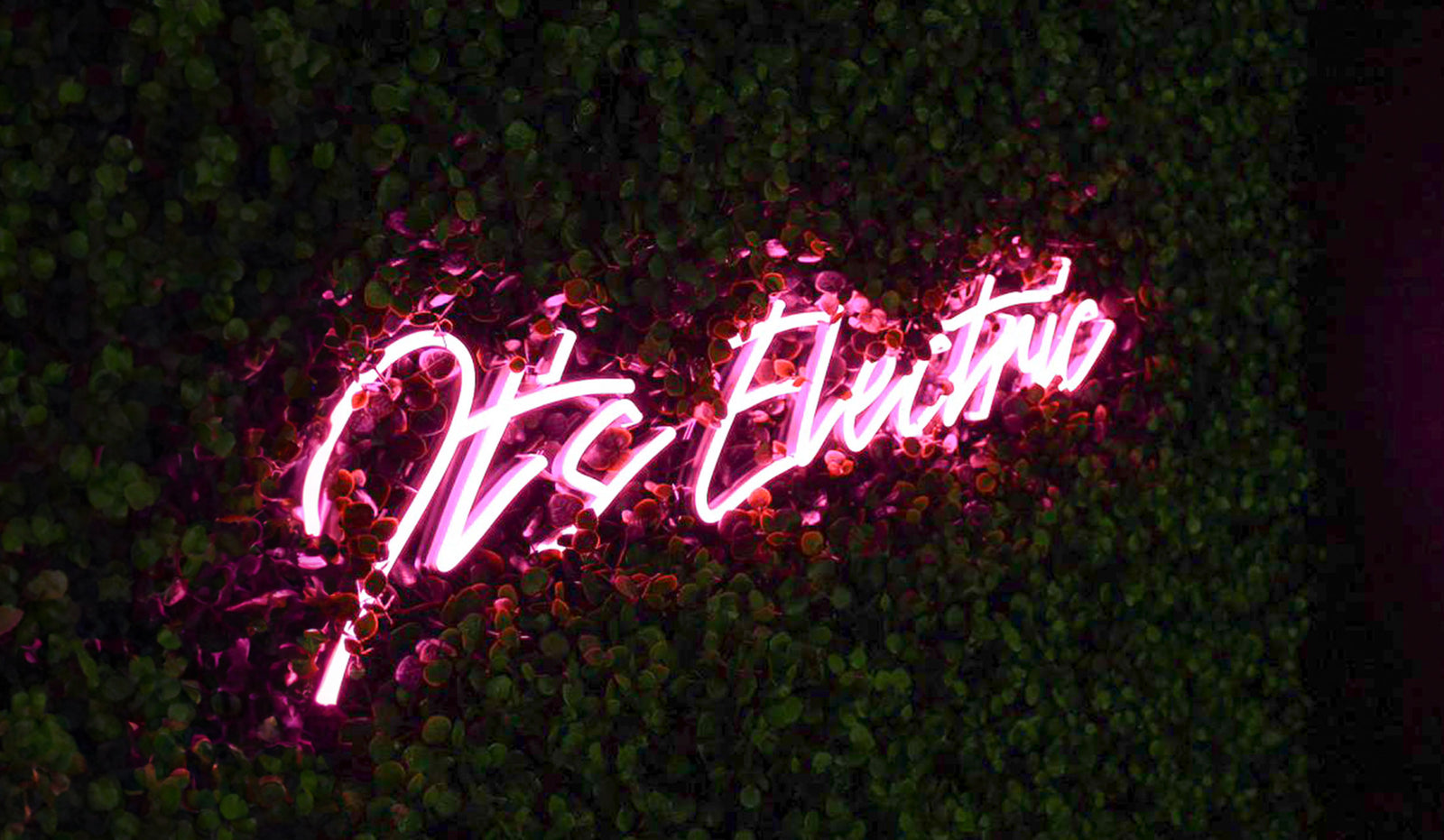 VOLTARI Brand Center – Voltari Marine Electric